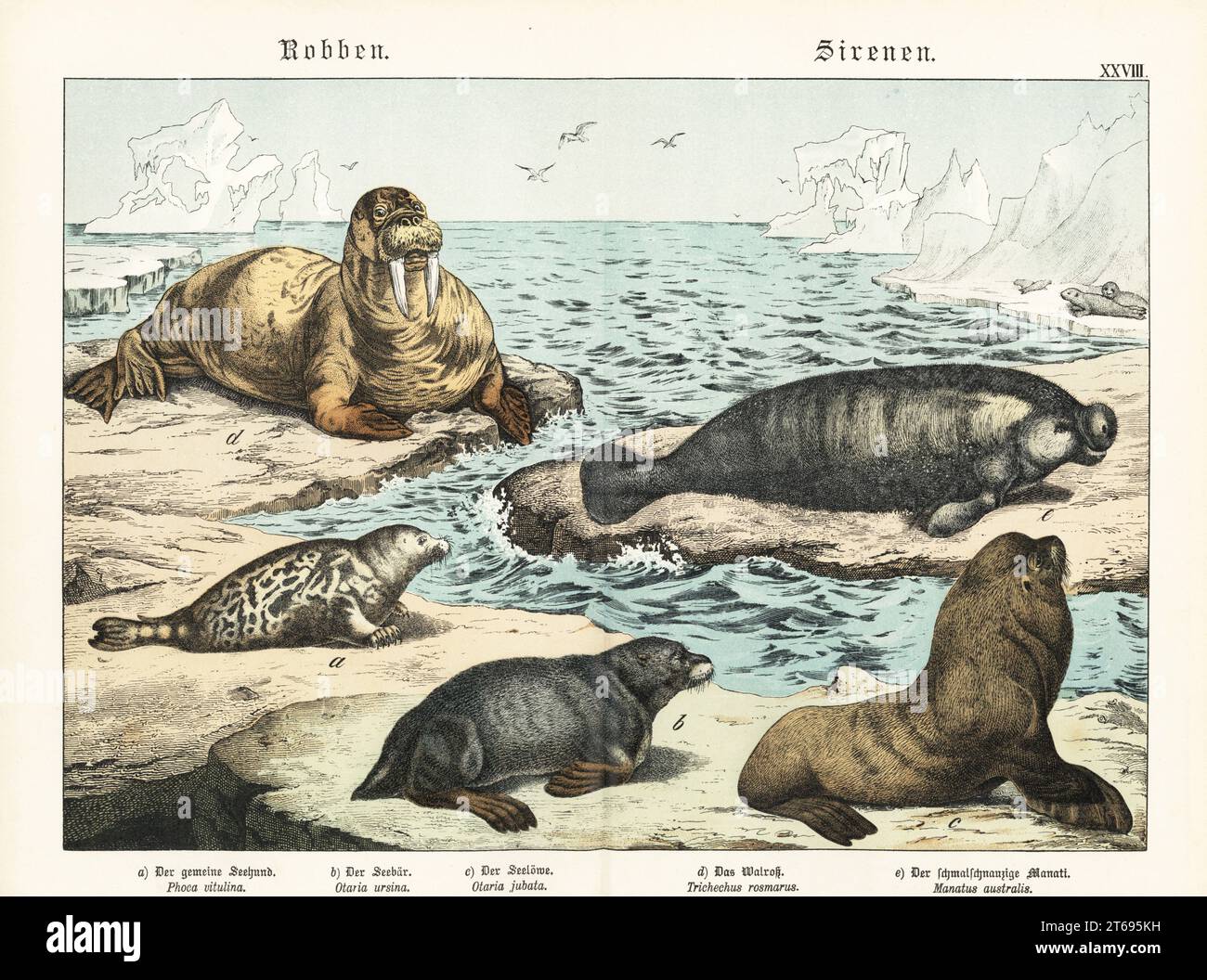 Indian kingdoms hi-res stock photography and images - Alamy