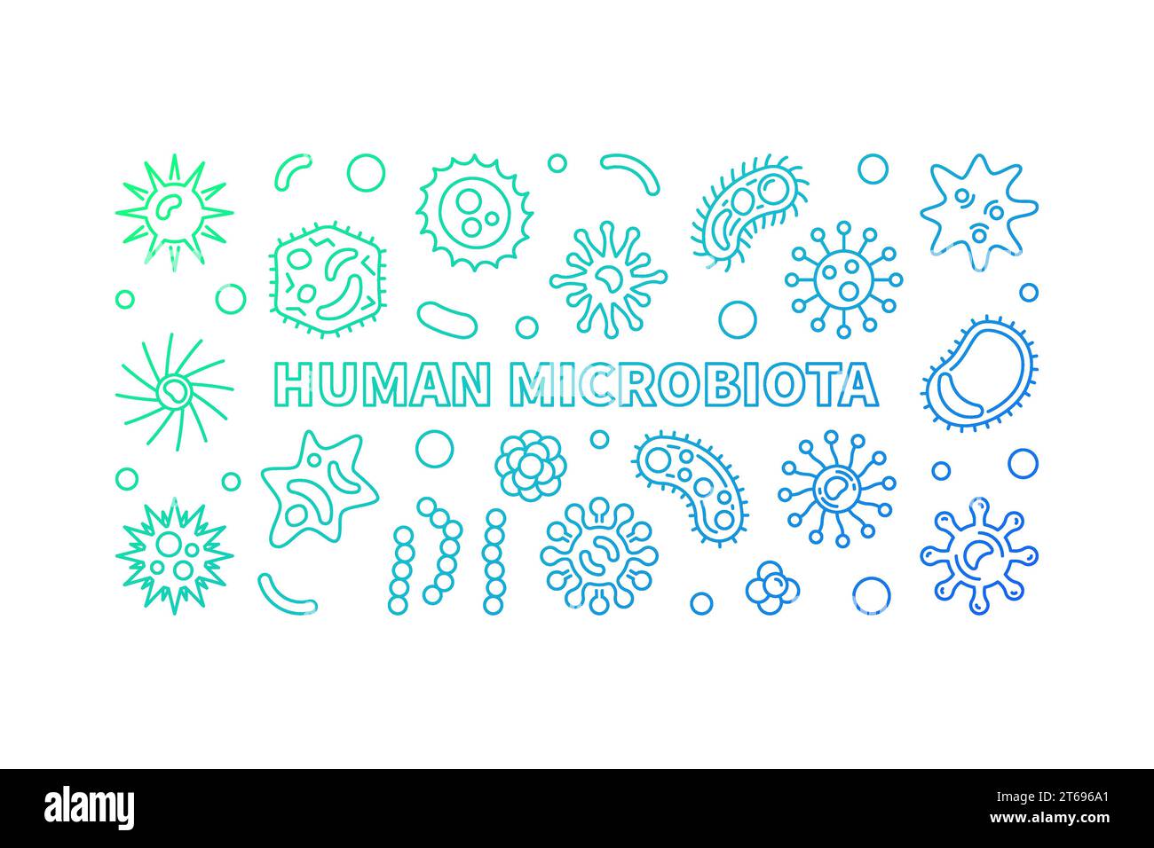 Human microbiota bright horizontal banner - vector simple illustration ...