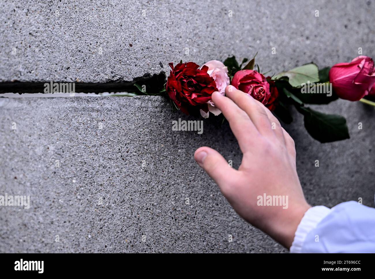 Berlin, Germany. 09th Nov, 2023. Pupils stick roses into a crevice in ...