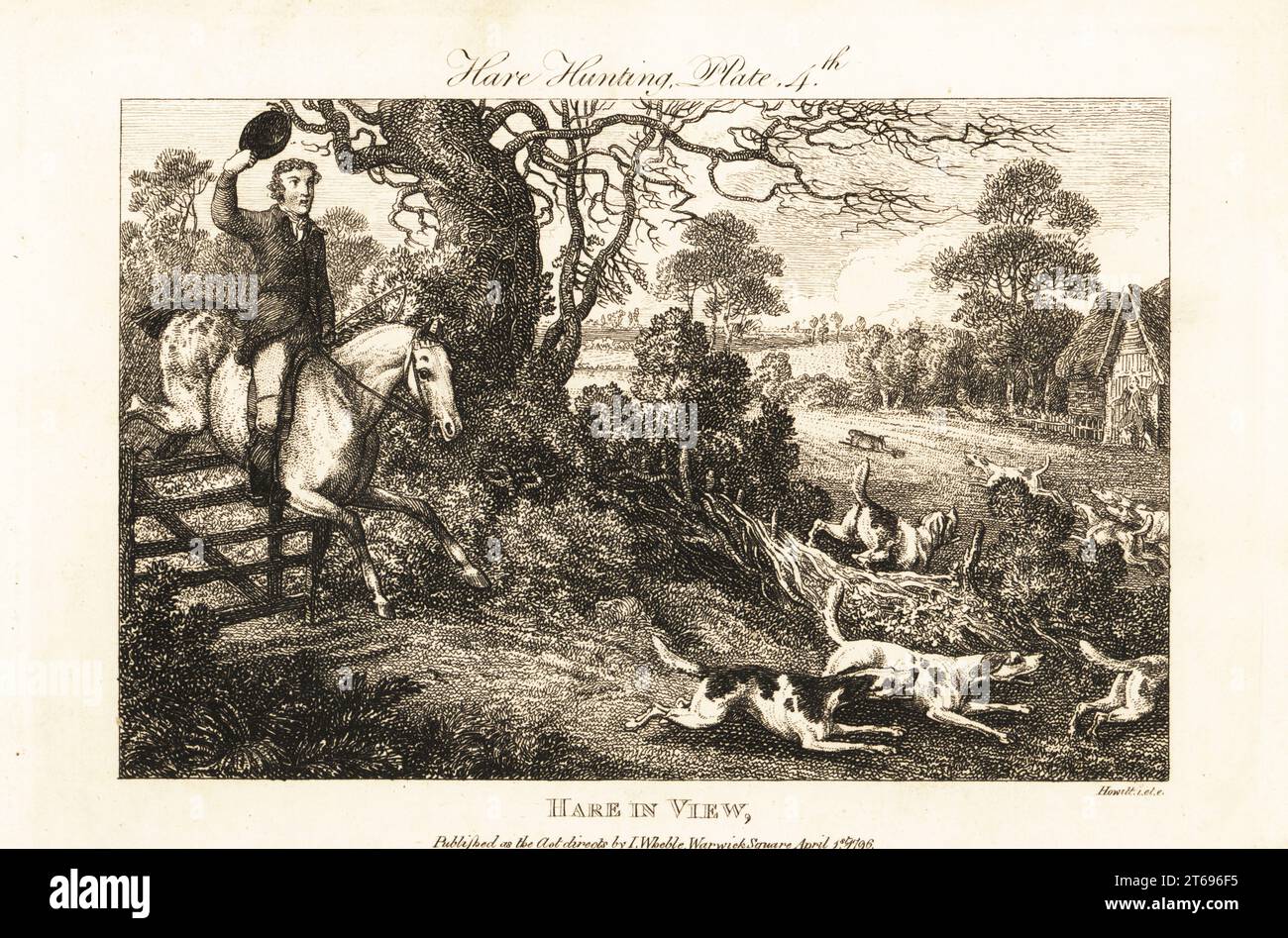 Mounted huntsman jumping a fence after a pack of hounds chasing a hare ...