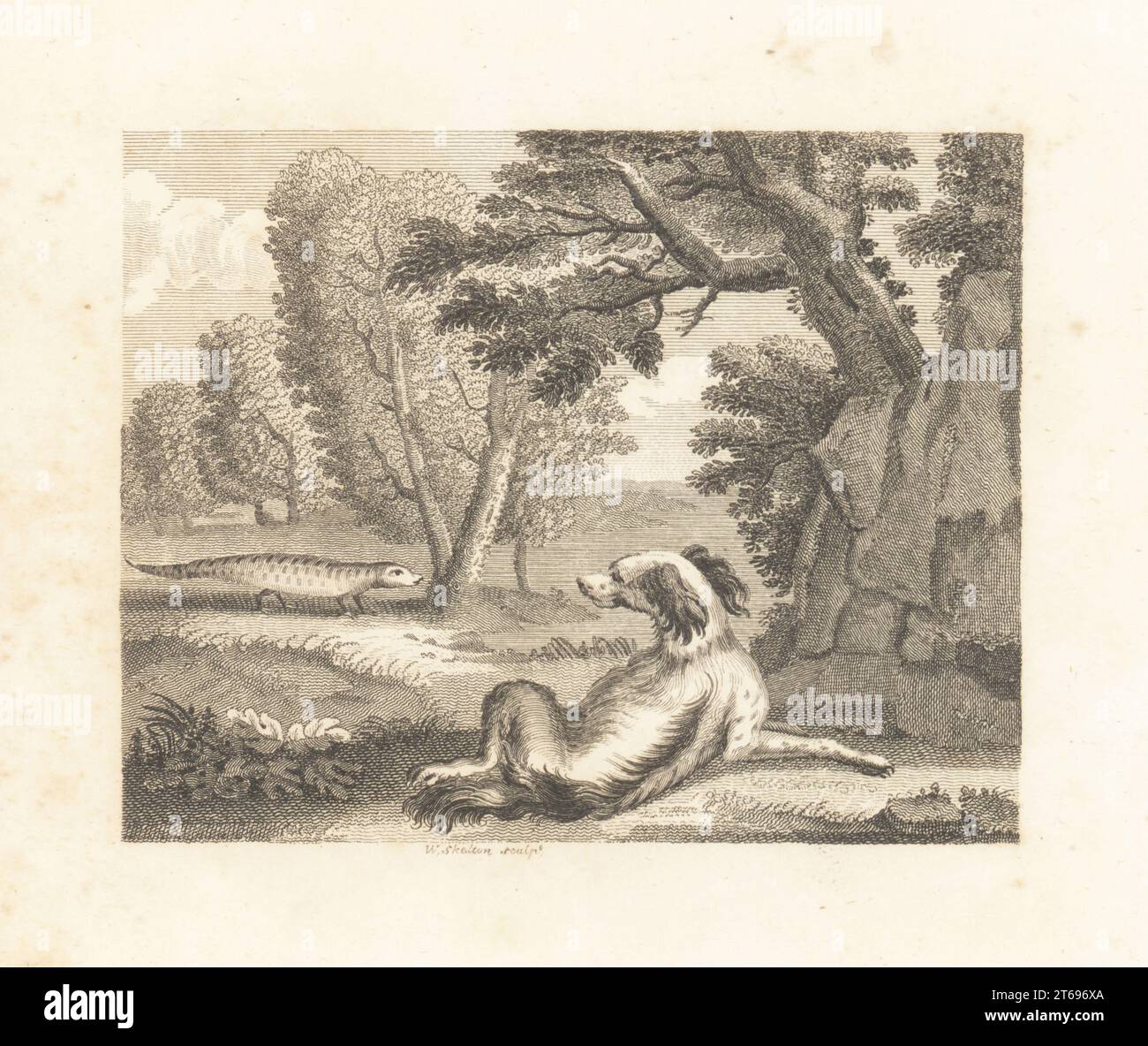 Fawning hi-res stock photography and images - Alamy