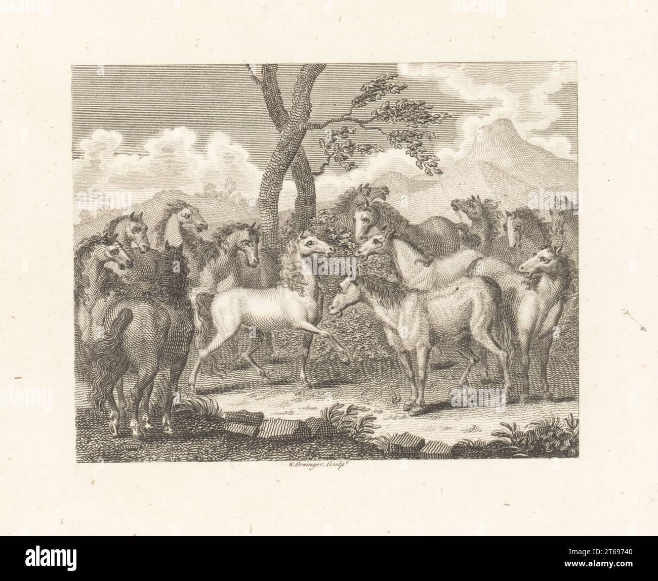 The Council of Horses. A young colt stands in the centre preaching ...