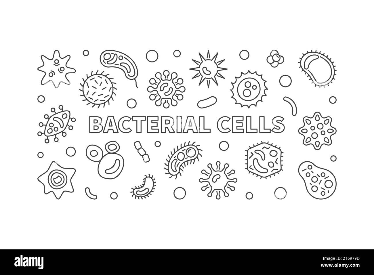 Bacterial cells horizontal banner. Vector concept outline illustration made with microbes and ...