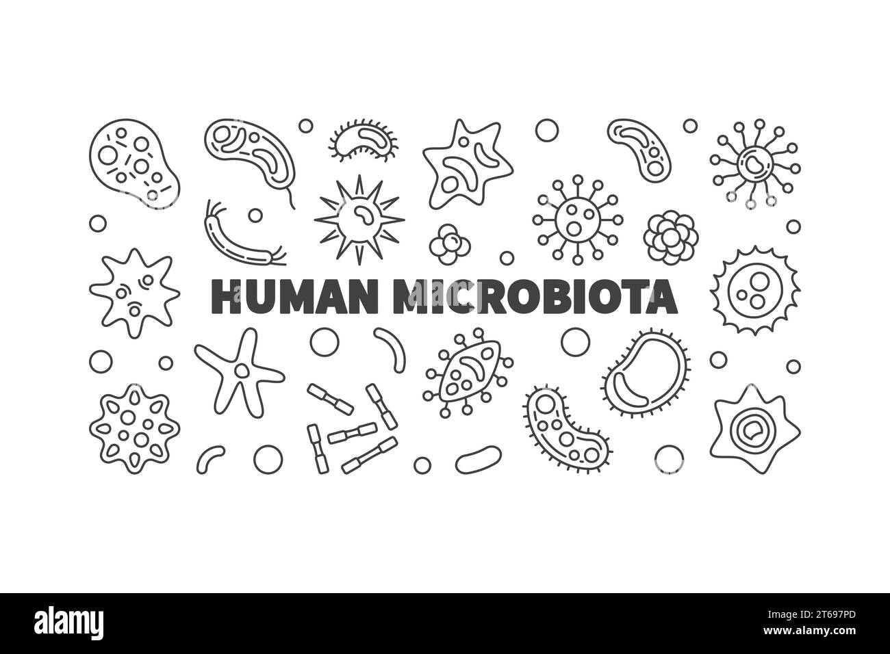 Human microbiota vector concept horizontal illustration in outline ...