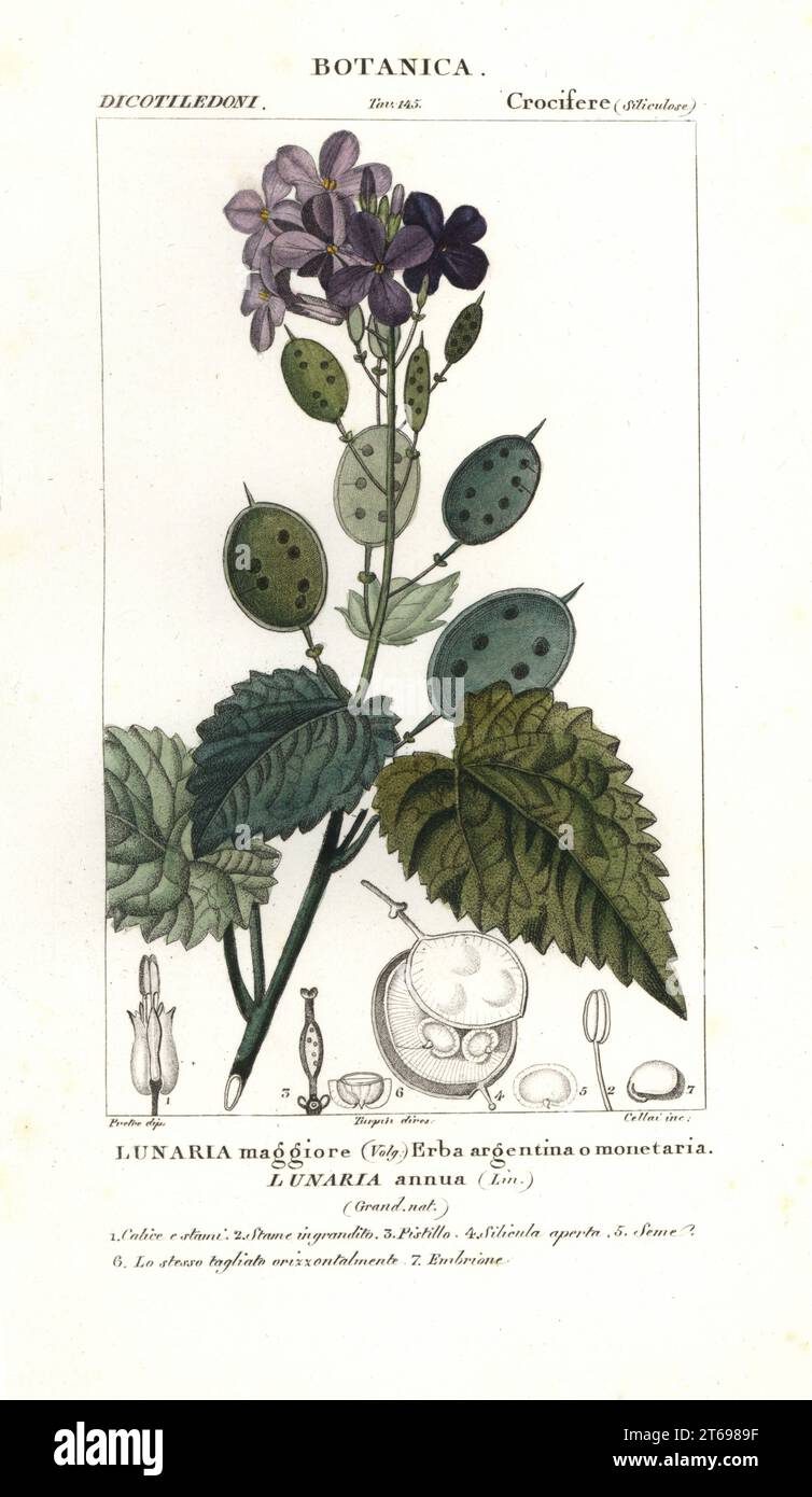 Ciencia monetaria hi-res stock photography and images - Alamy