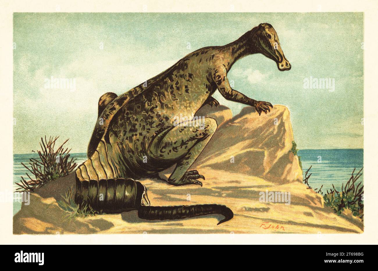 Trachodon mirabilis. Trachodon, dubious genus of extinct hadrosaurid ...