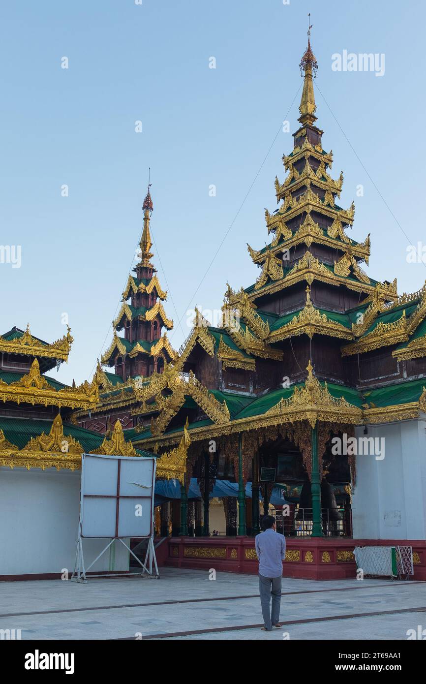 King singu hi-res stock photography and images - Alamy