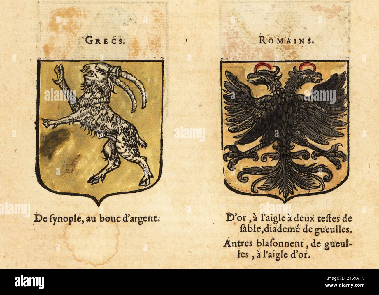 Coats of arms of the Greeks, with ram rampant, and Romans, with black ...