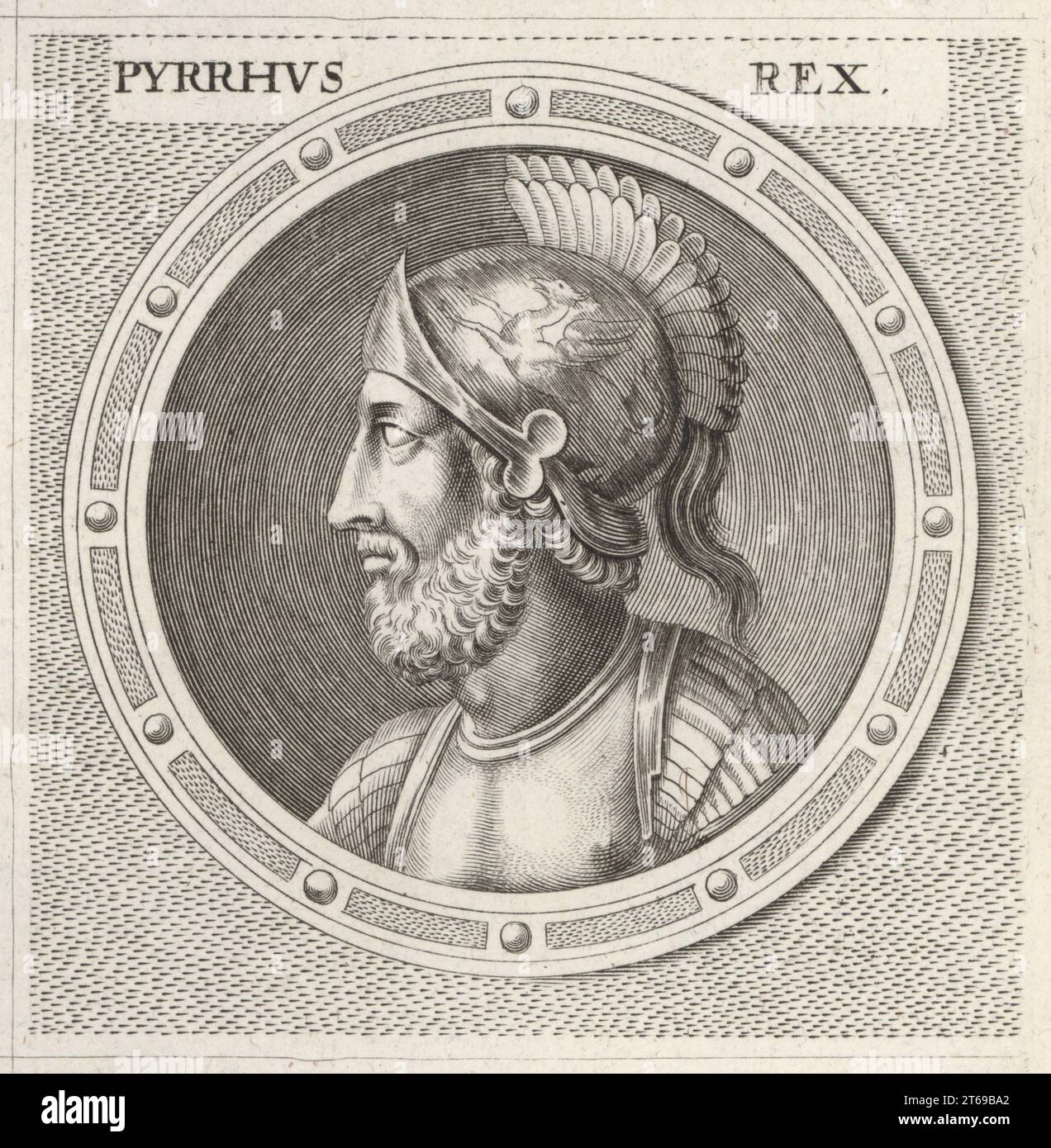 Pyrrhus rex hi-res stock photography and images - Alamy