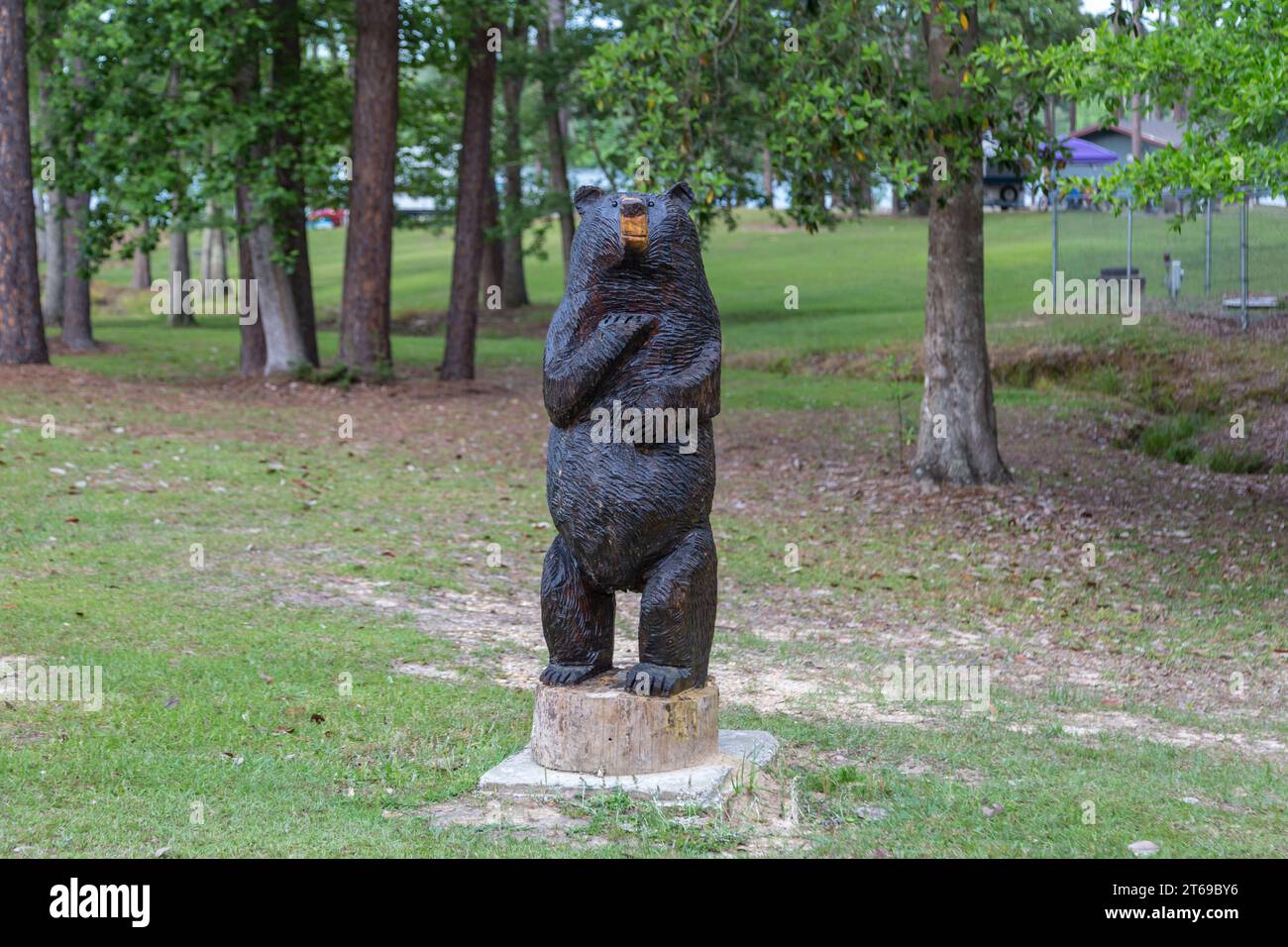 Chain saw carving of a black bear in Paul B Johnson State Park near ...