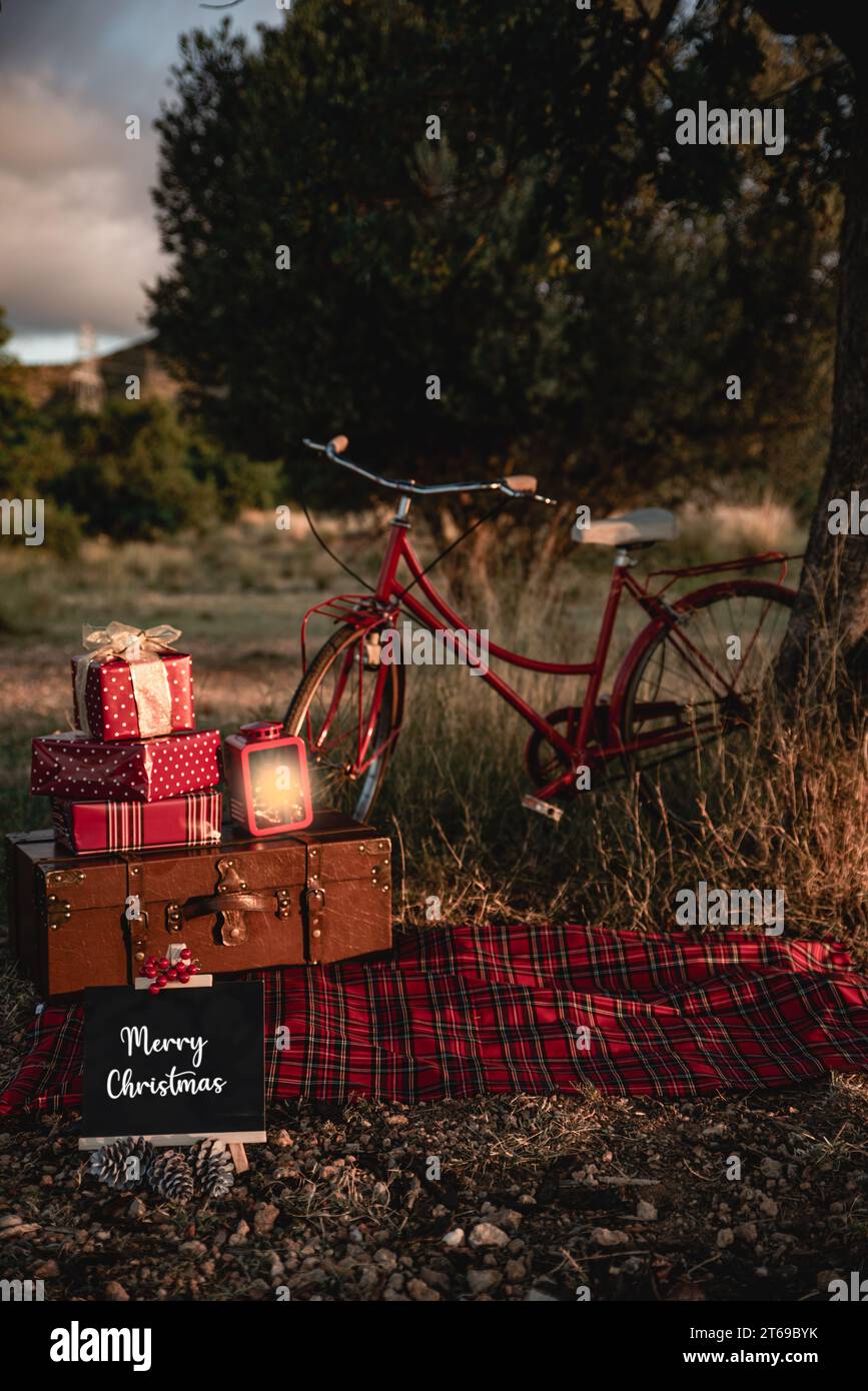 Christmas session in the countryside with a vintage suitcase, Christmas ...