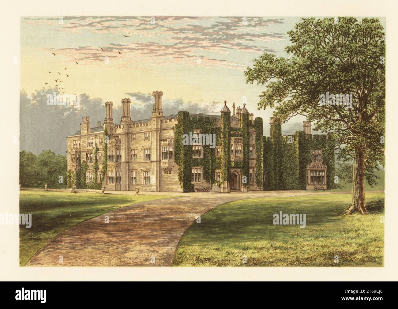 Gresley baronets hi-res stock photography and images - Alamy