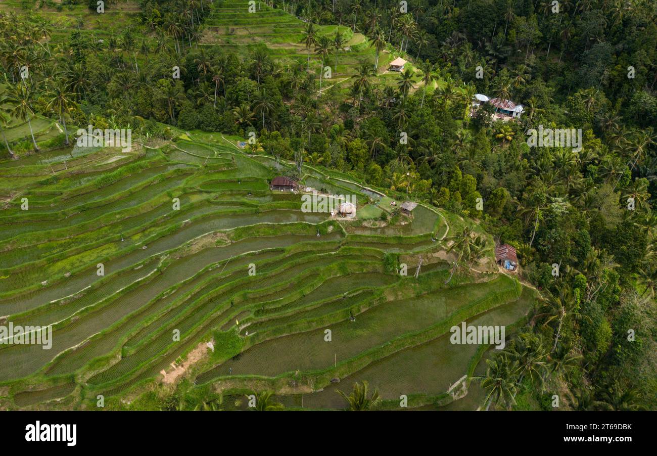 Lushterraces hi-res stock photography and images - Alamy