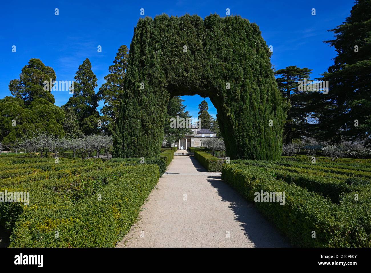 A scenic pathway lined with lush trees and hedges leads to a stunning ...