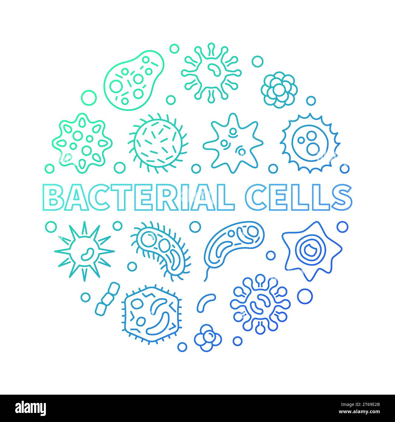Bacterial cells round vector colorful outline illustration made with ...