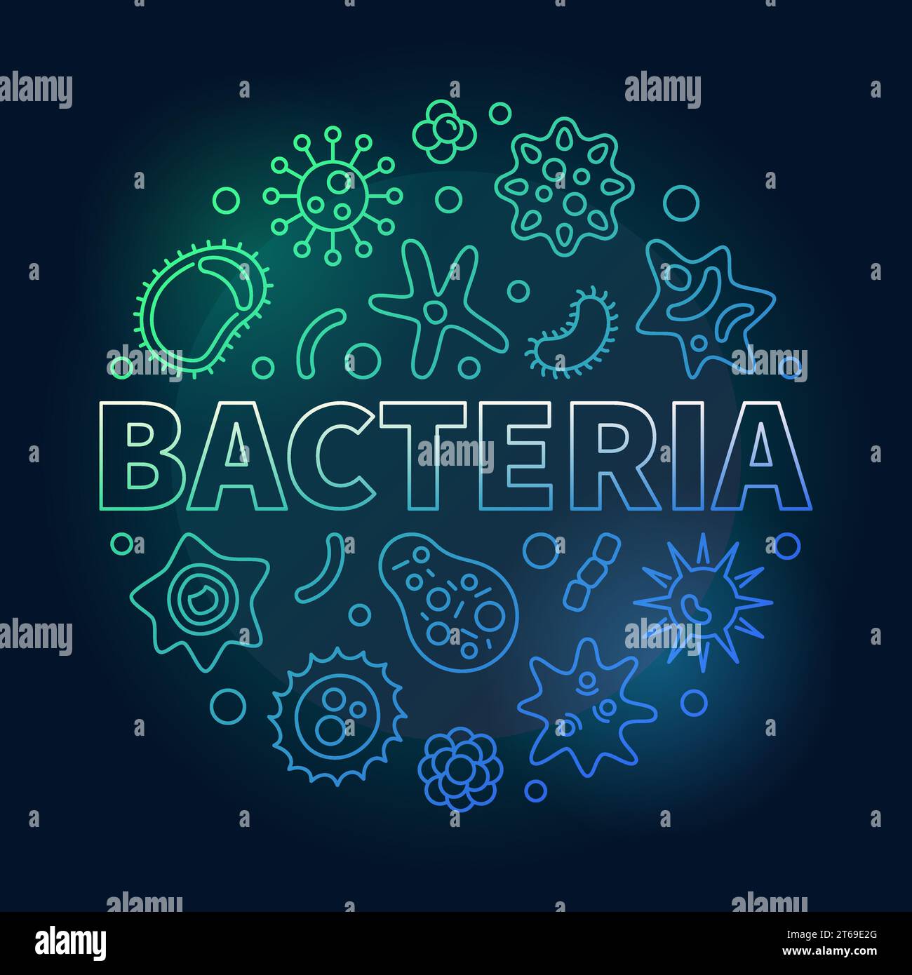 Bacteria vector colored round virology and microbiology illustration in ...
