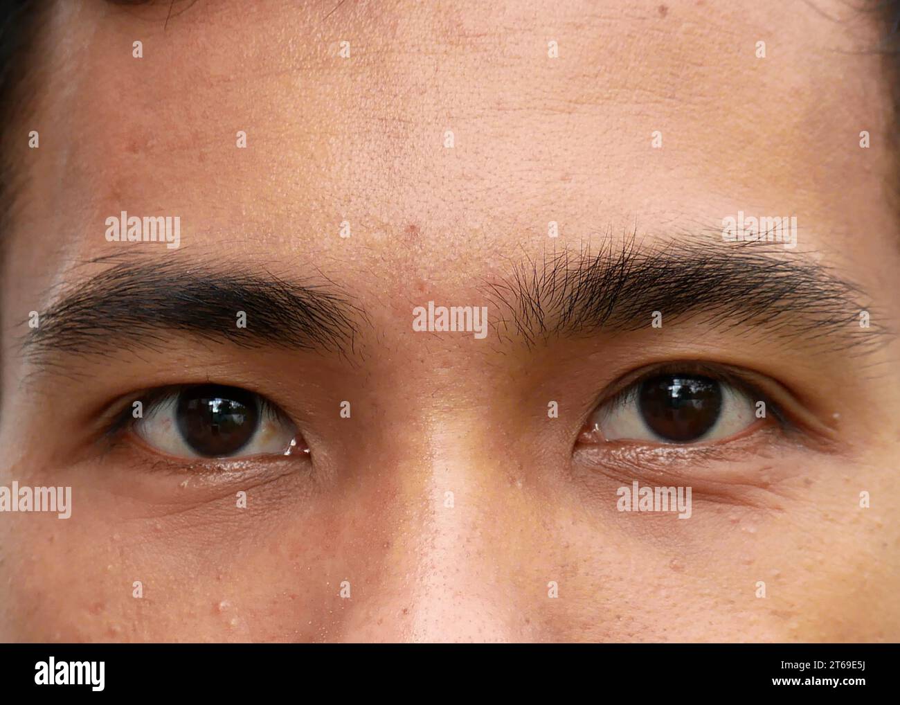 Close up view of male eyes close up of Asian young man Stock Photo - Alamy