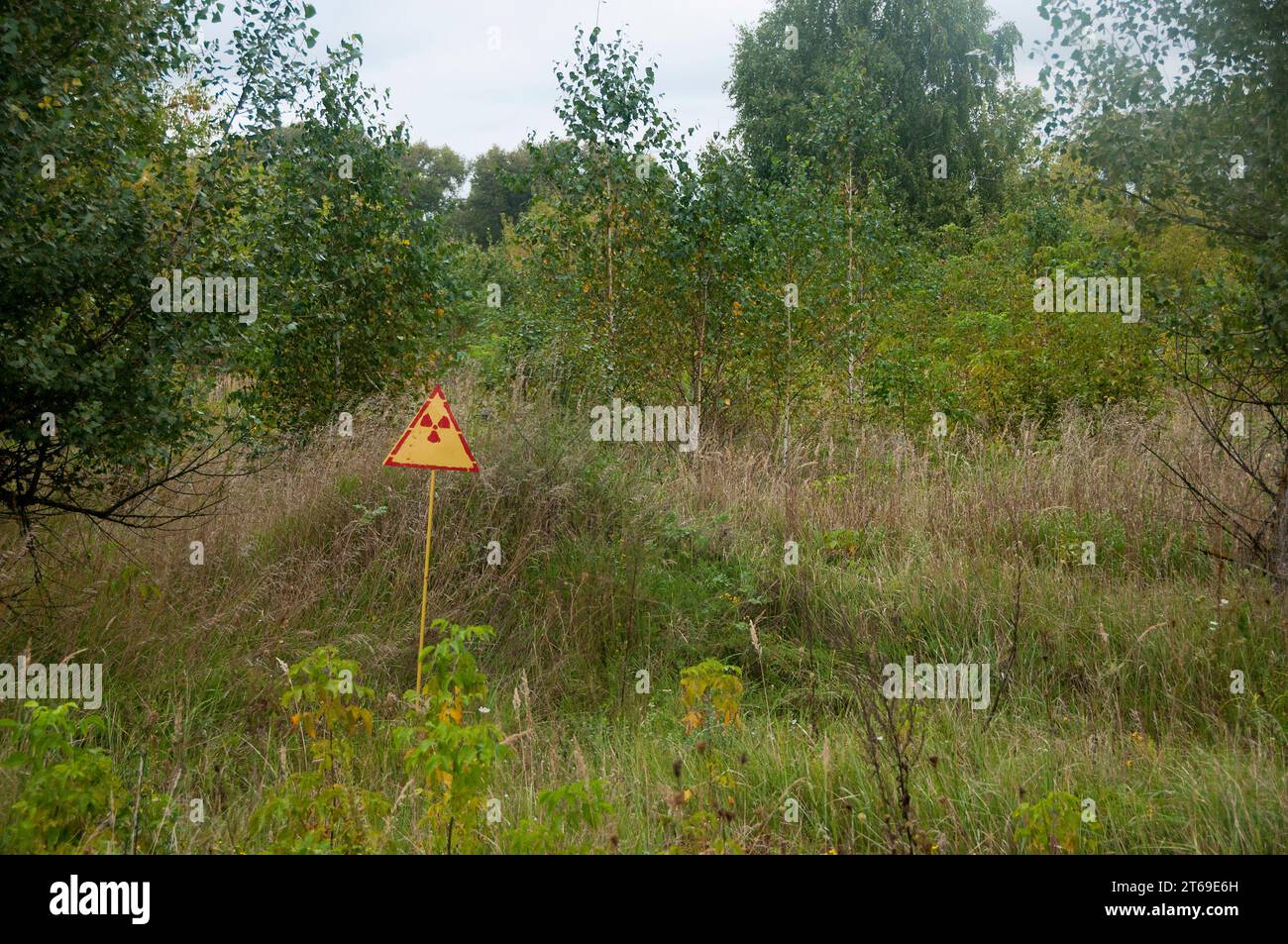 Radioactive warning sign in the Red Forest near Chernobyl Stock Photo ...