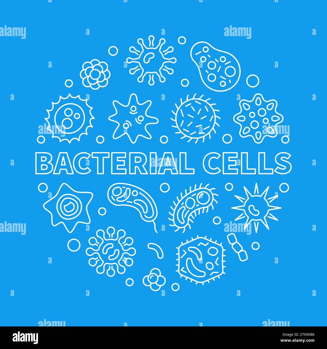 Bacterial cells round vector concept outline illustration made with ...