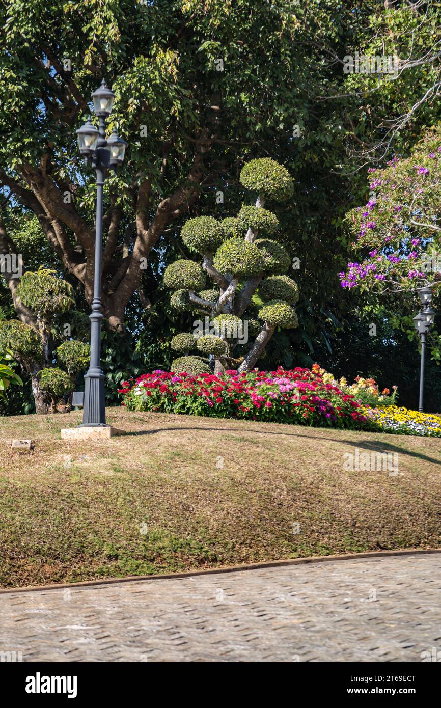 Palm trees and flower gardens enhance the Lanna and Swiss architecture ...