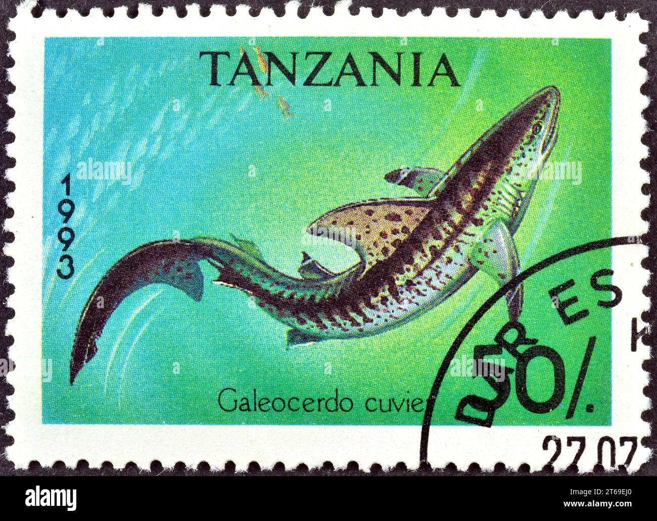 Cancelled postage stamp printed by Tanzania, that shows Tiger Shark ...