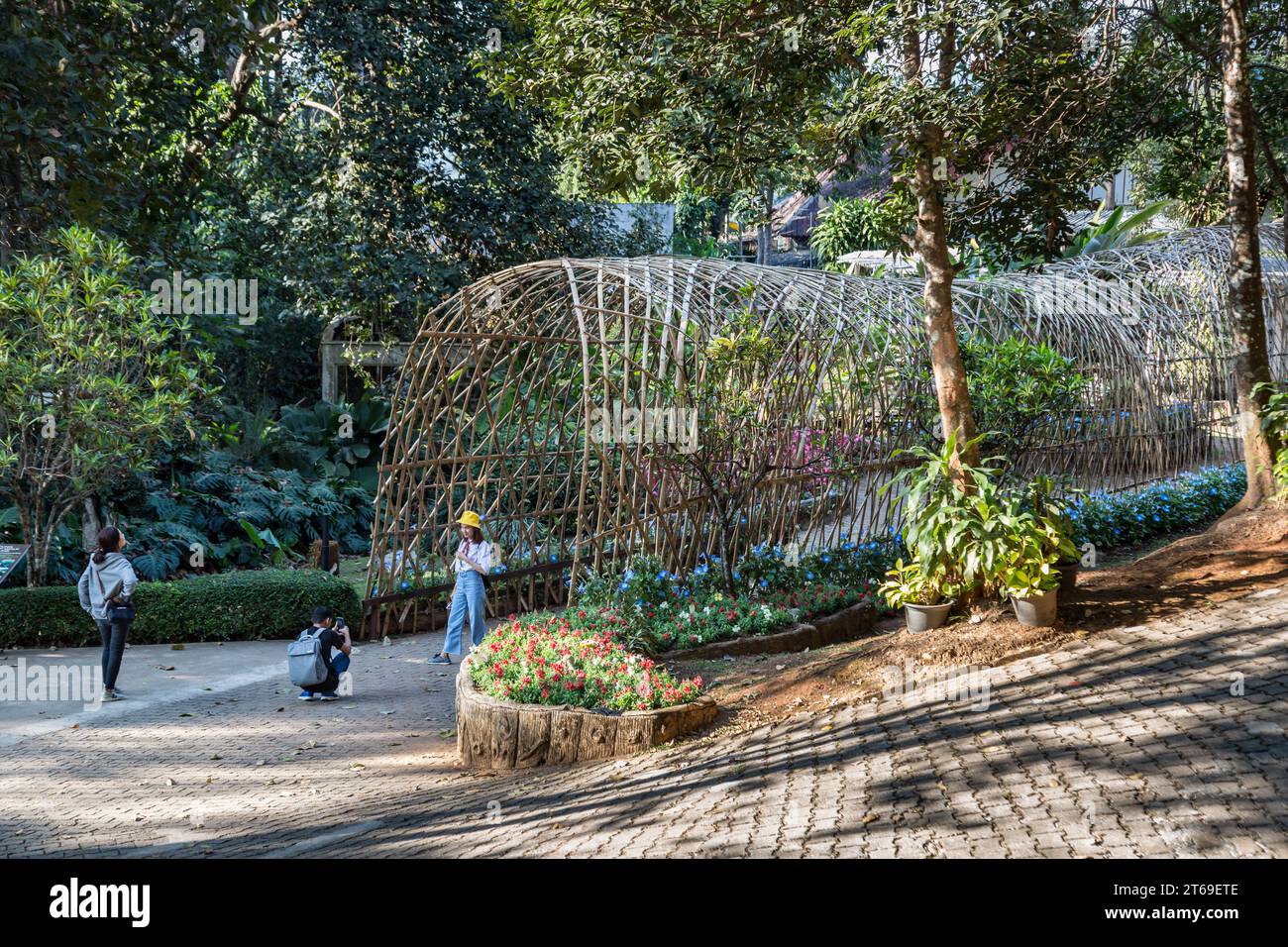Thai man photographing woman near bamboo covered walkway at Mae Fah ...