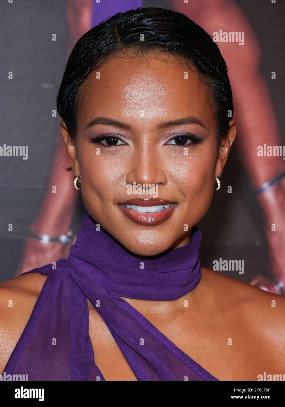 WEST HOLLYWOOD, LOS ANGELES, CALIFORNIA, USA - NOVEMBER 08: American ...