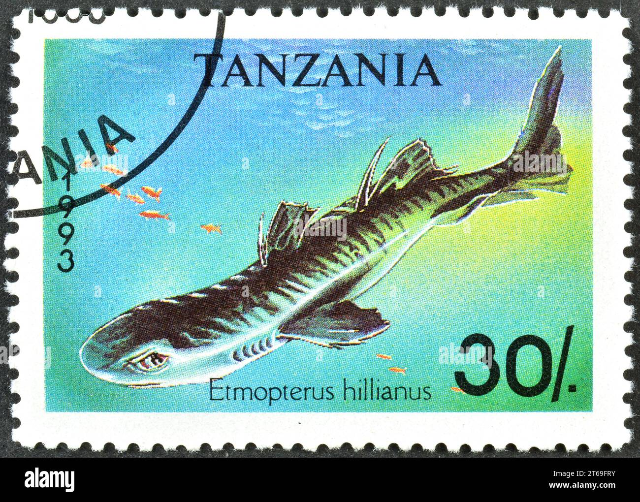 Cancelled postage stamp printed by Tanzania, that shows Caribbean ...