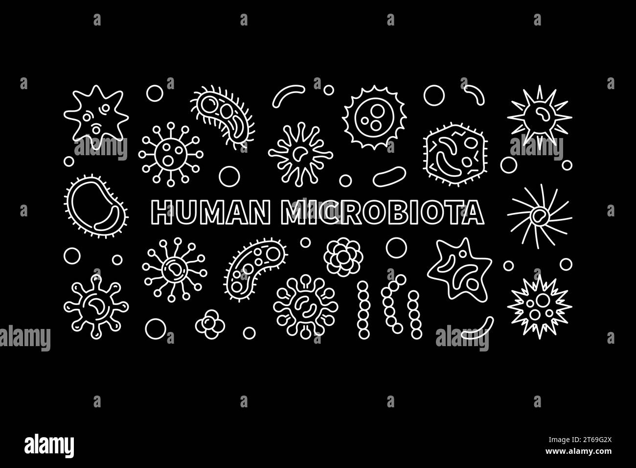 Human microbiota horizontal banner - vector simple illustration in ...