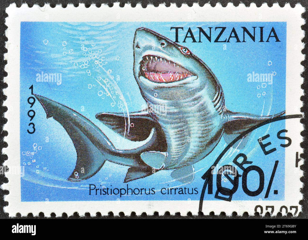 Cancelled postage stamp printed by Tanzania, that shows Common Saw ...
