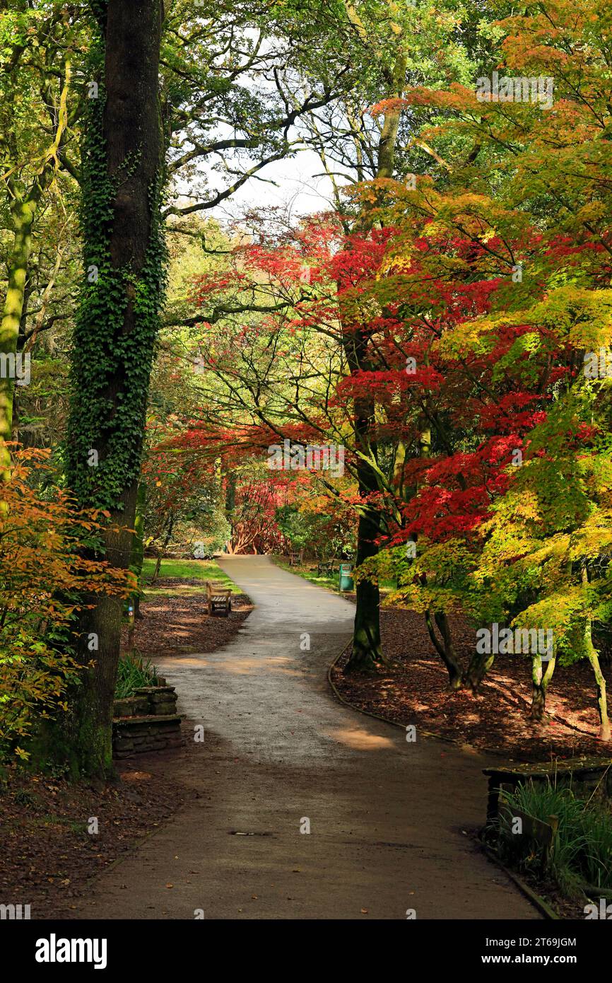 Autumn colours Parc Cefn Onn, Lisvane, Cardiff, South Wales Stock Photo ...