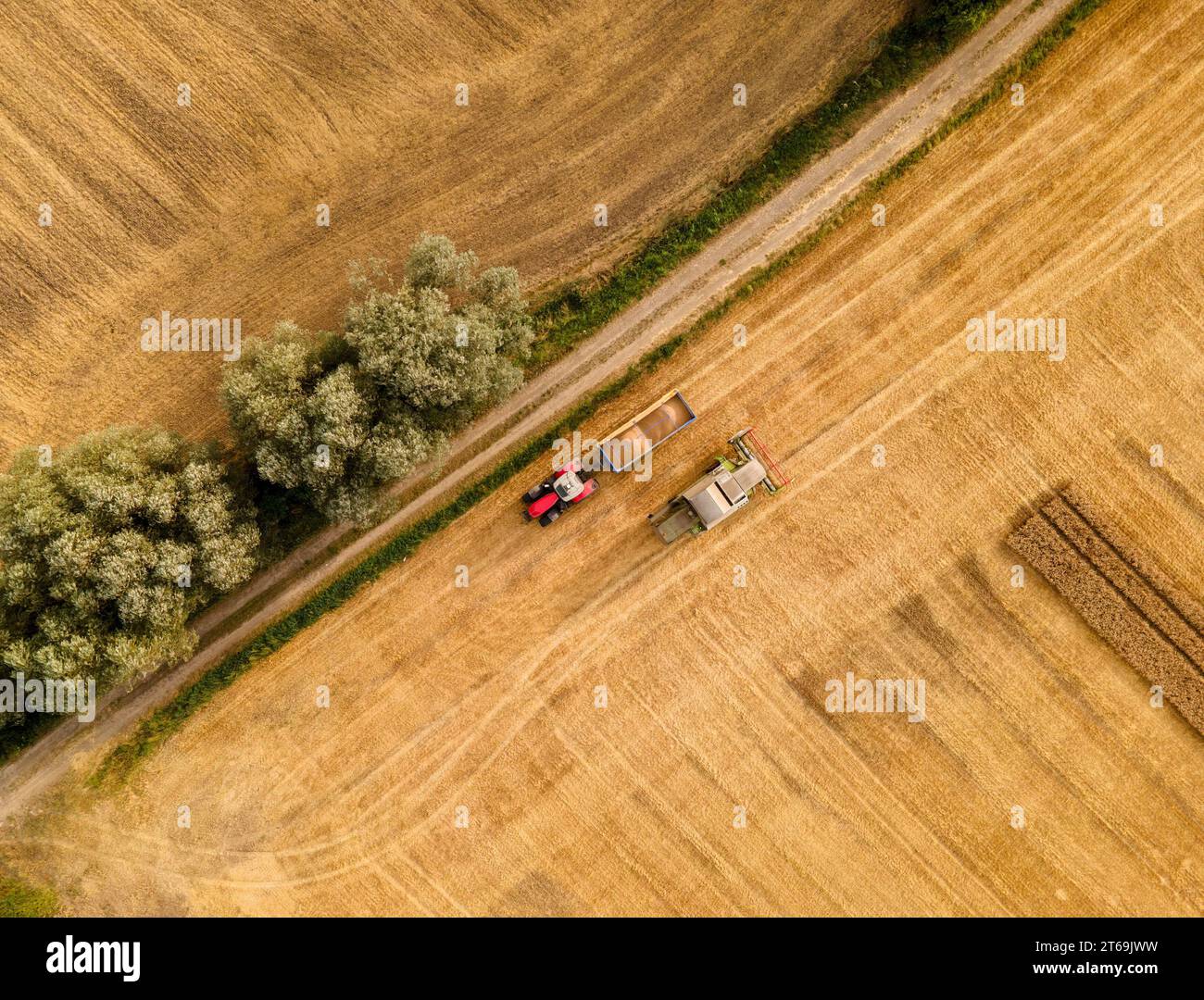 Industrial combine harvesters reaping wheat hi-res stock photography ...