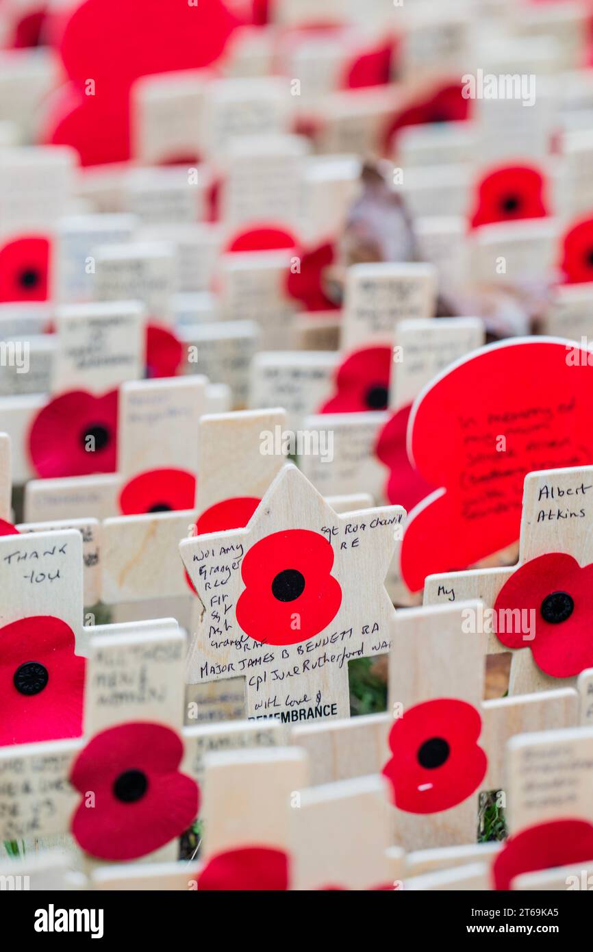 London, UK. 9th Nov, 2023. A sea of Crosses and poppies, laid by Poppy ...
