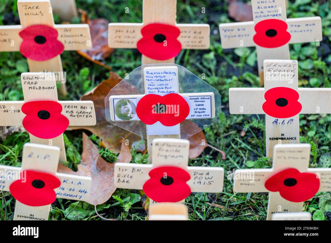 London, UK. 9th Nov, 2023. Crosses with poppies, laid by Poppy Factory ...