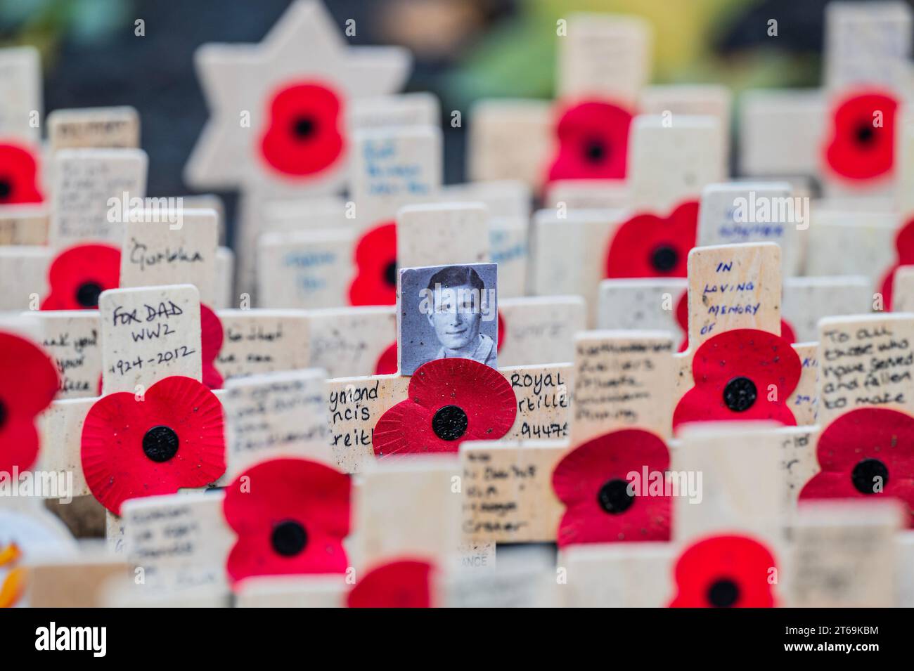 London, UK. 9th Nov, 2023. A sea of Crosses and poppies, laid by Poppy ...