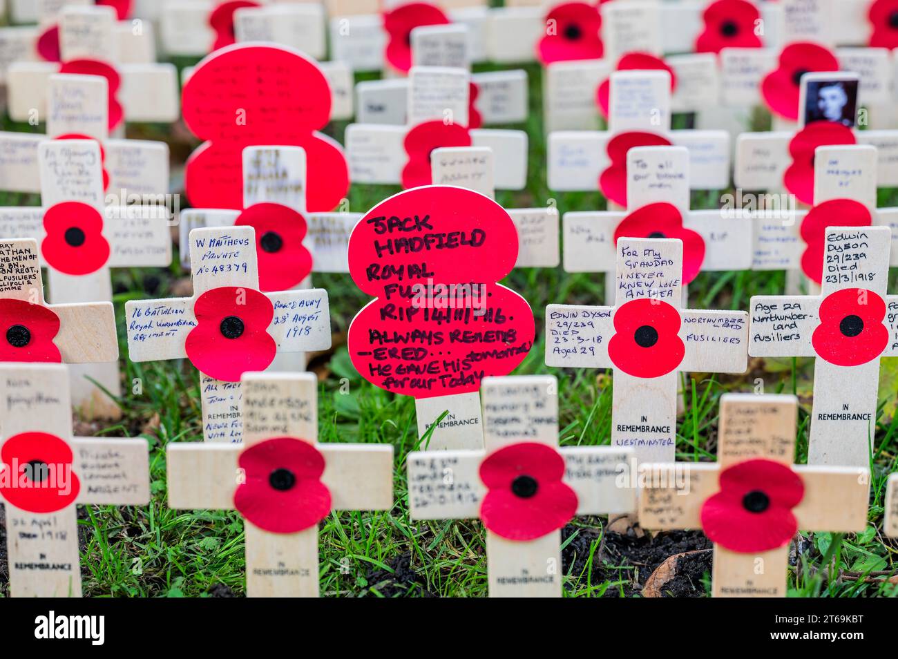 London, UK. 9th Nov, 2023. A sea of Crosses and poppies, laid by Poppy ...