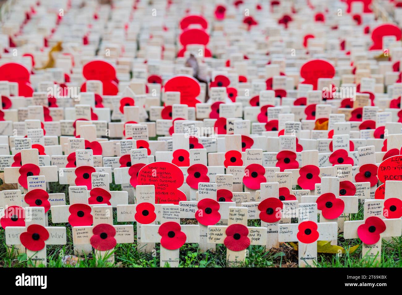 London, UK. 9th Nov, 2023. A sea of Crosses and poppies, laid by Poppy ...