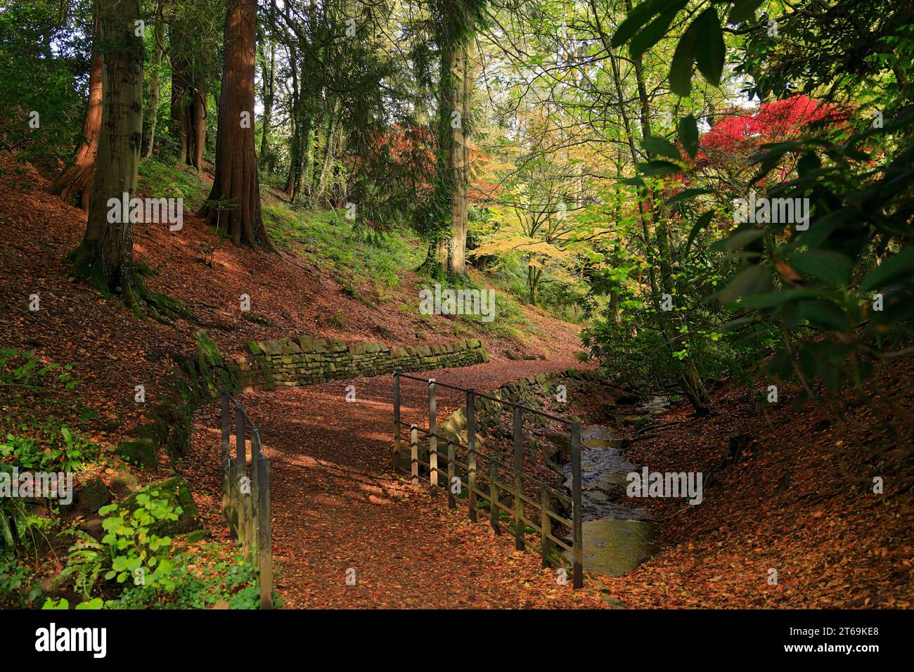 Autumn colours Parc Cefn Onn, Lisvane, Cardiff, South Wales Stock Photo ...