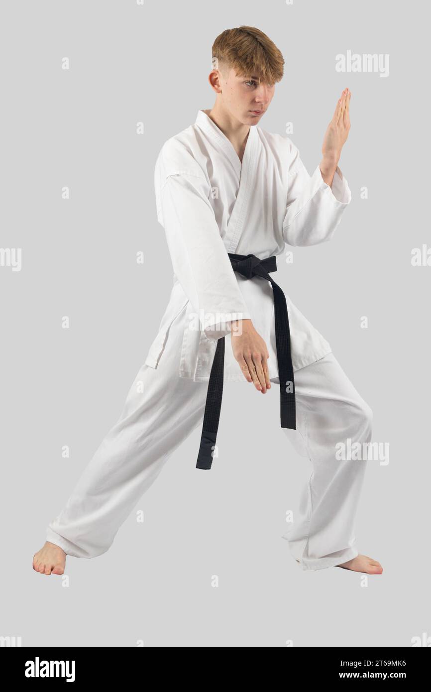 Black belt teenage boy performing a kata with a double block Stock ...