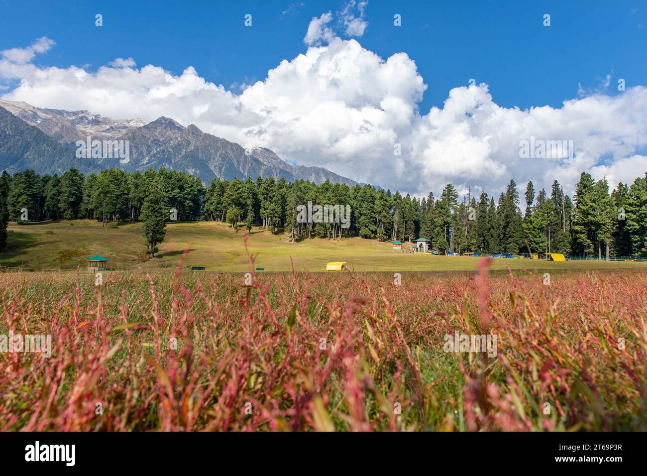 Baisaran Valley in Kashmir, Mini Switzerland of India at Pahalgam ...