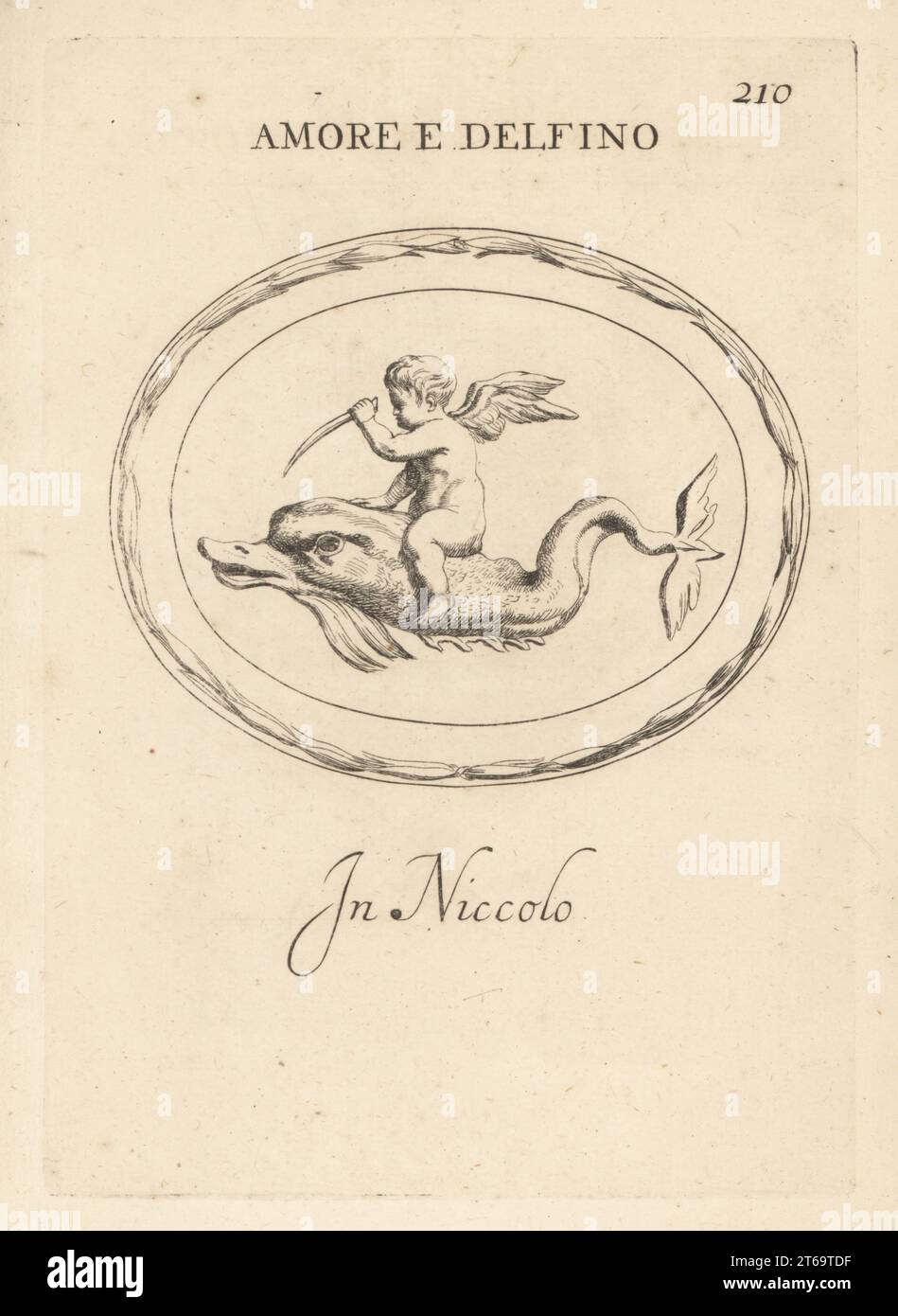 Cupid riding a dolphin, the sacred animal of Venus. In nicolo. Amore e ...