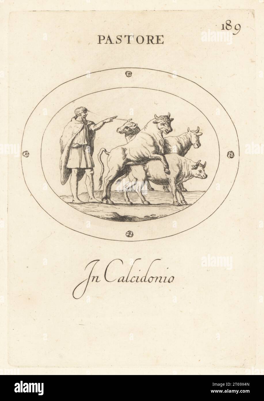 Roman shepherd overseeing a bull mounting a cow. In chalcedony. Pastore ...