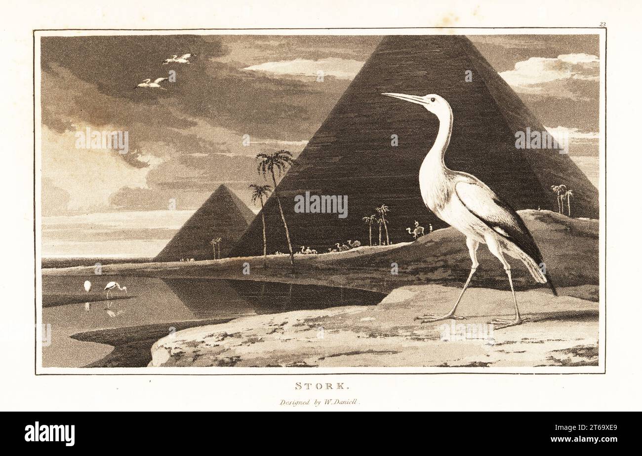 Nile river egypt pyramids hi-res stock photography and images - Alamy