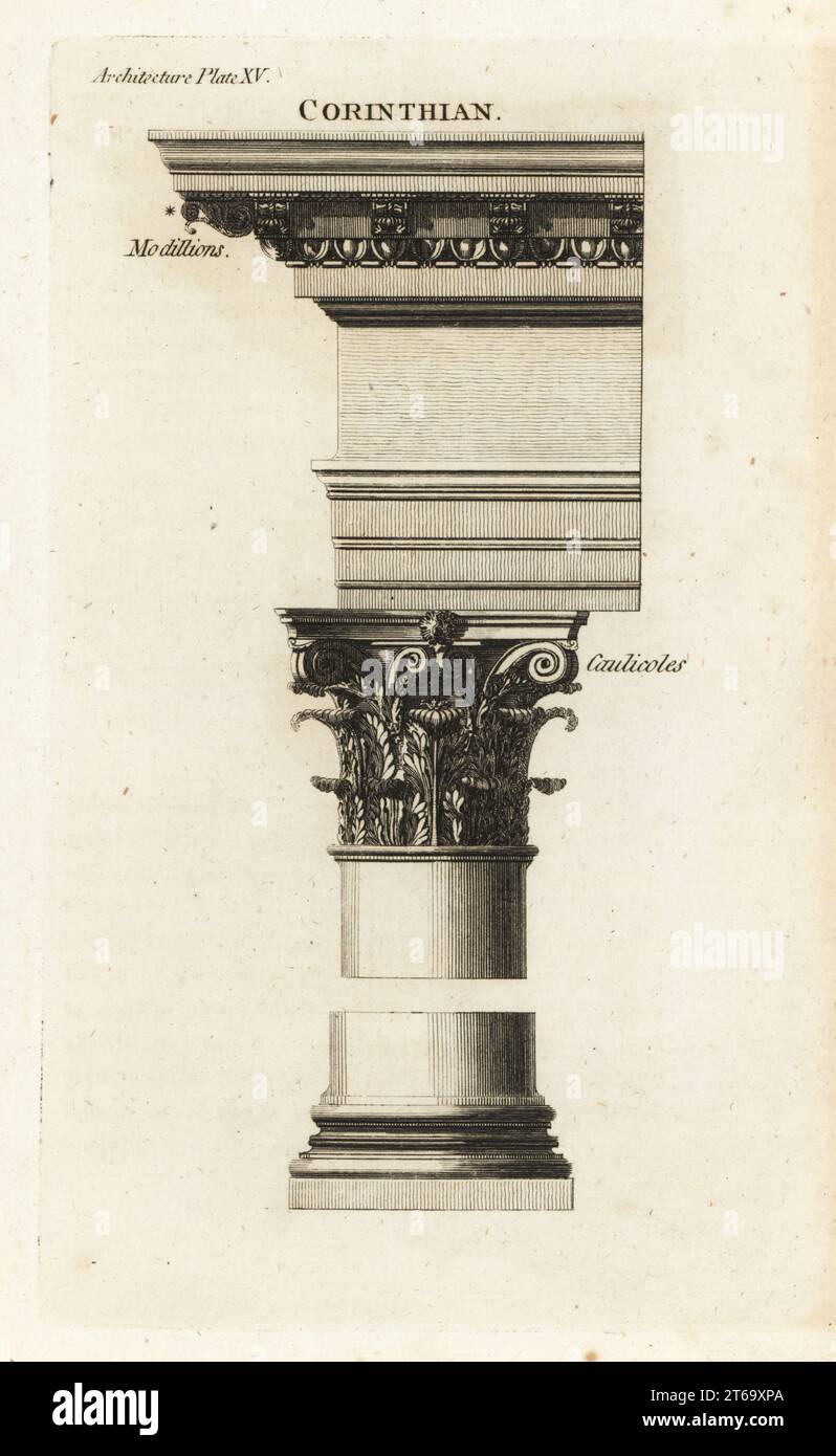 Corinthian order from the Pantheon, Rome. Cornice with modillions and ...