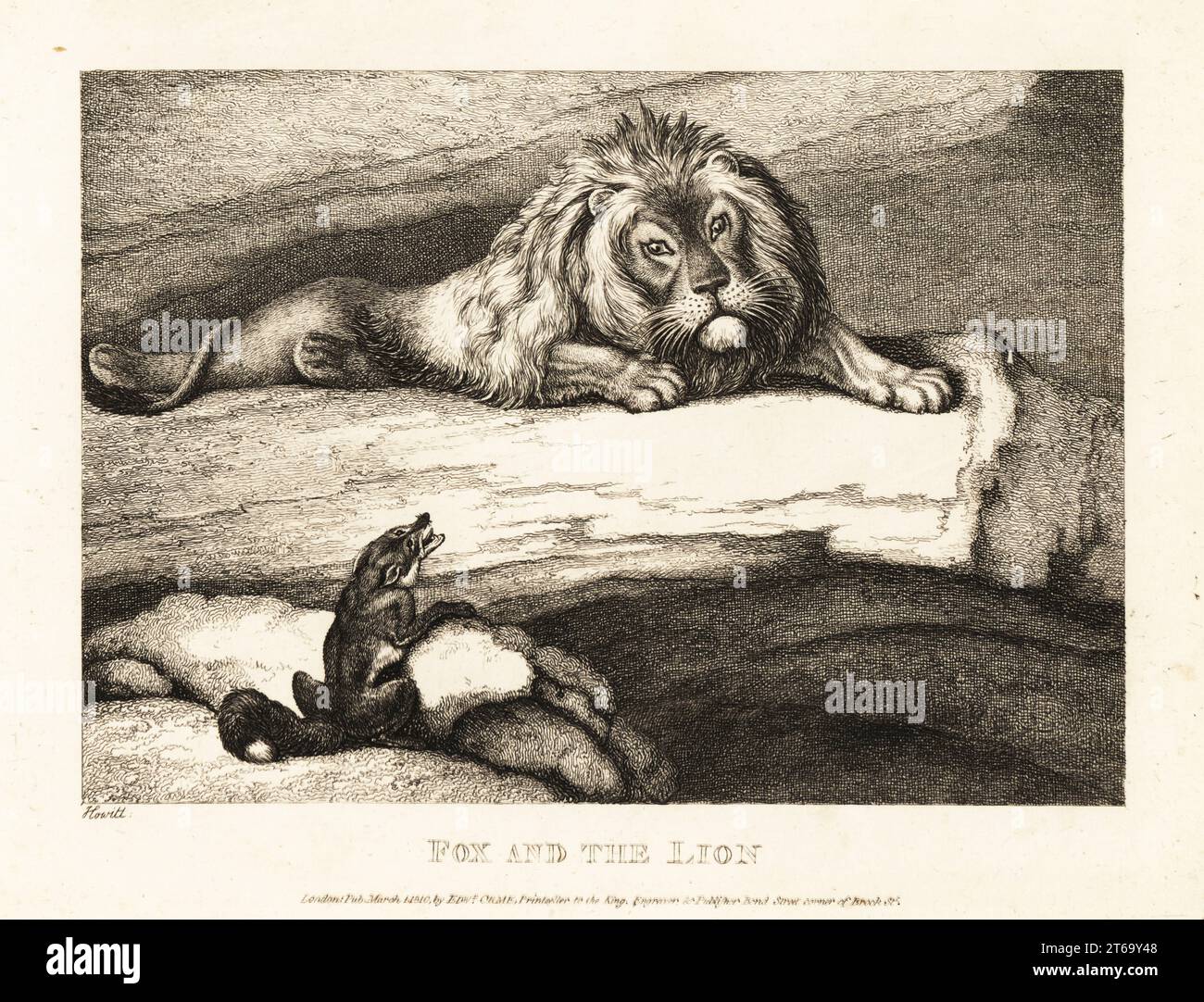 A lion in its den and a fox hi-res stock photography and images - Alamy