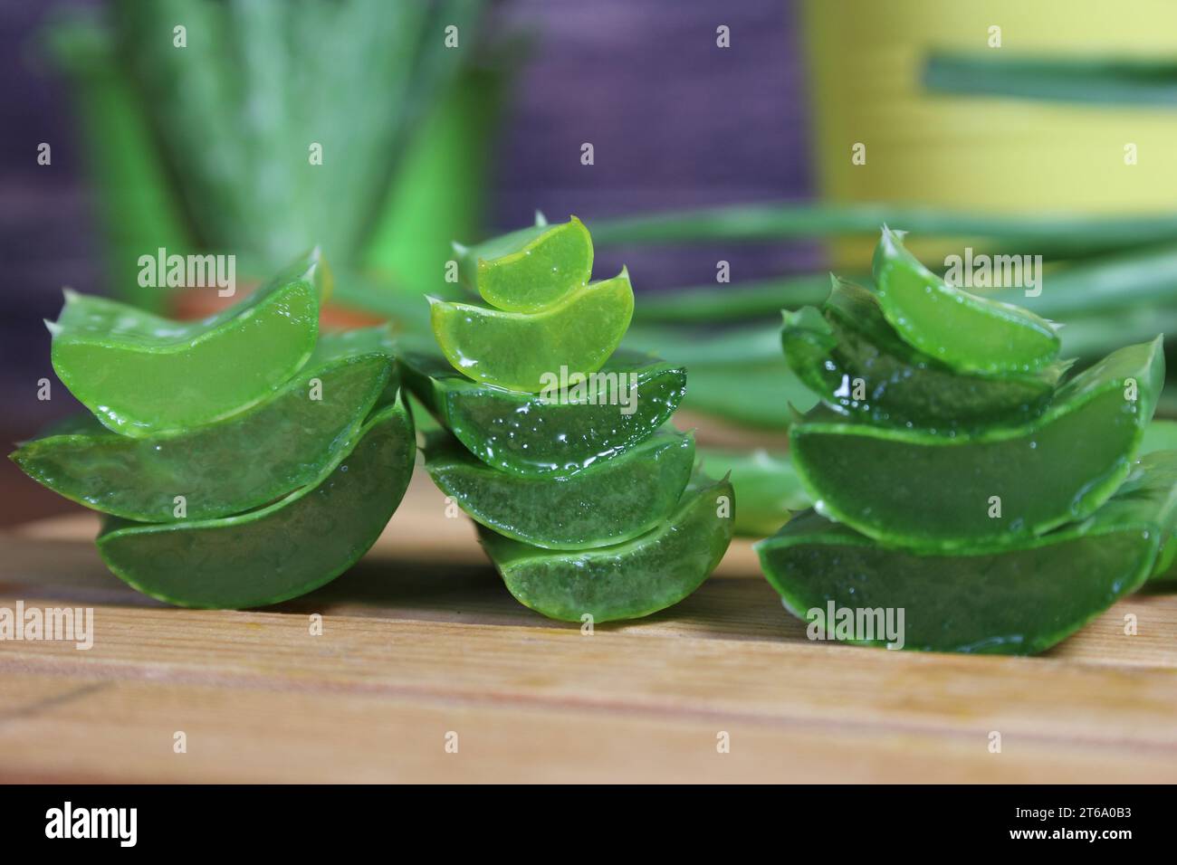 Fresh Raw Aloe Vera Leaves on Table After Harvest Stock Photo - Alamy