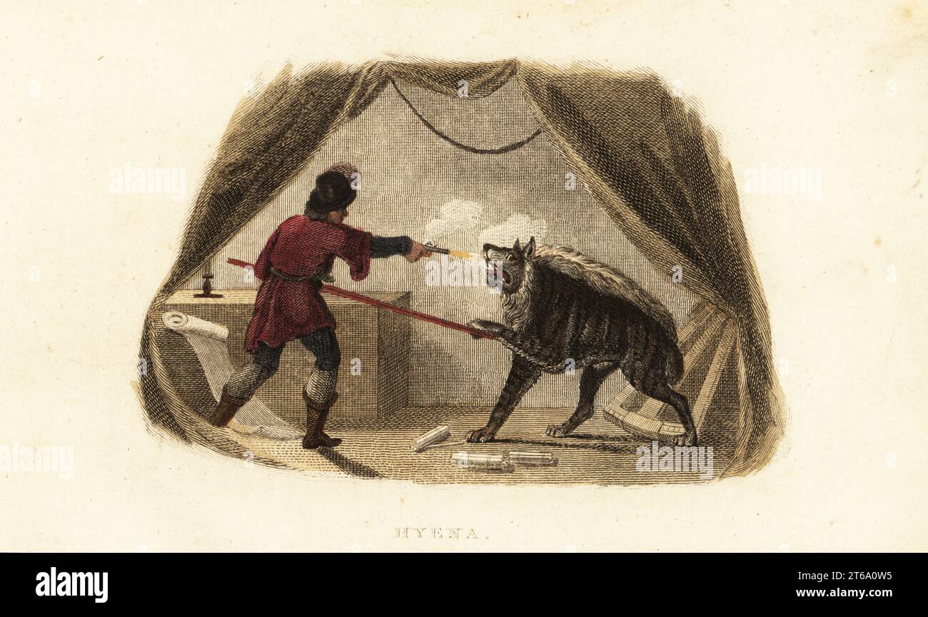 James Bruce killing a hyena with pistol and pike in his tent in Maitsha ...
