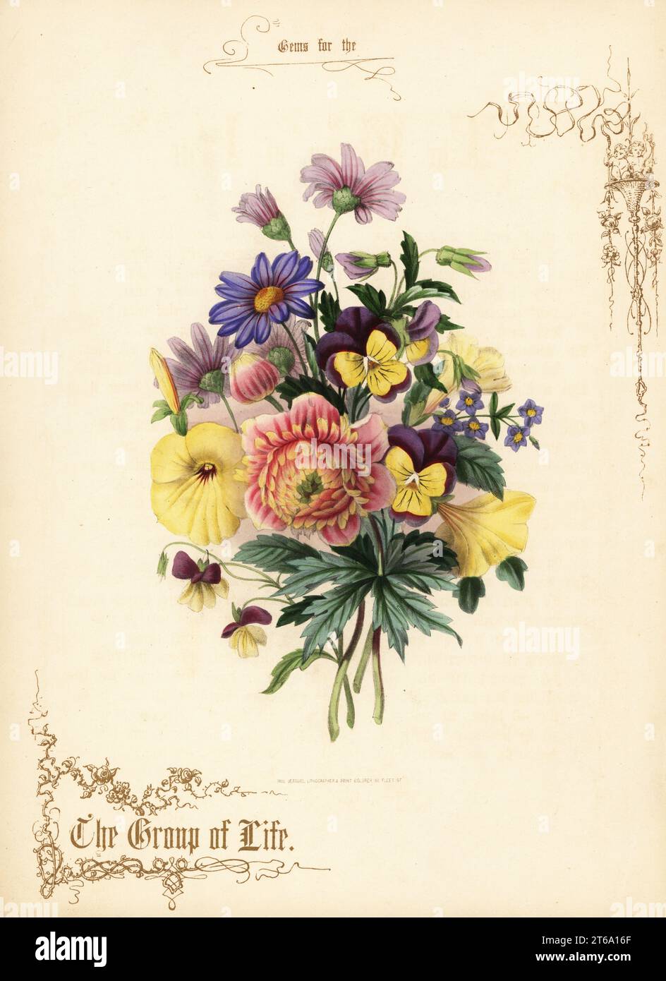 Bouquet of anemone, petunia, heartsease, aster, anagallis. The Group of ...