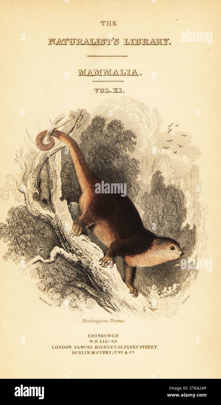 Vignette h hi-res stock photography and images - Alamy