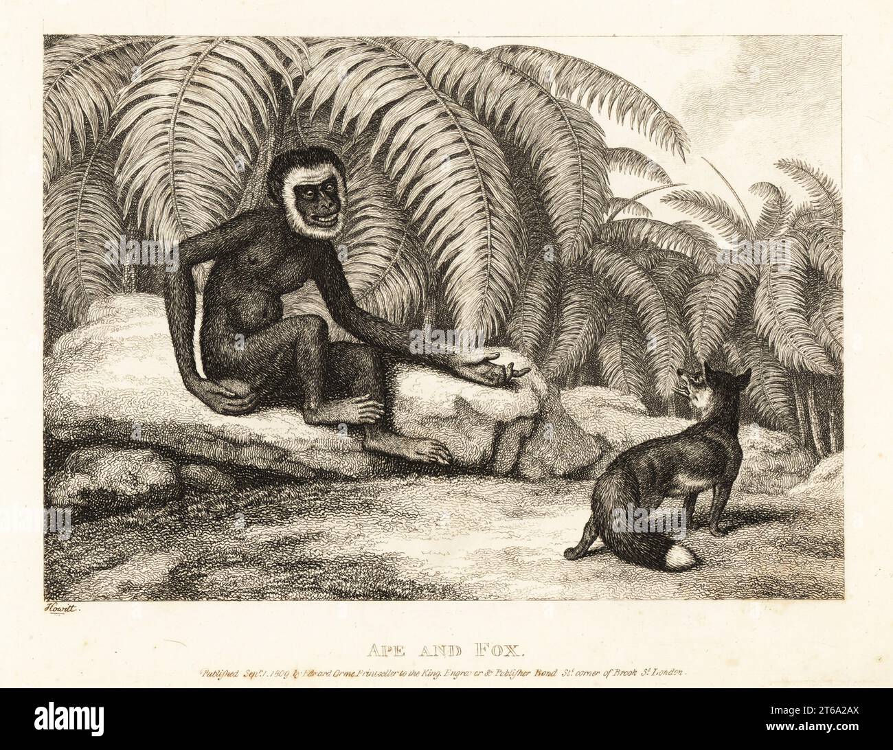 Fable Animals
